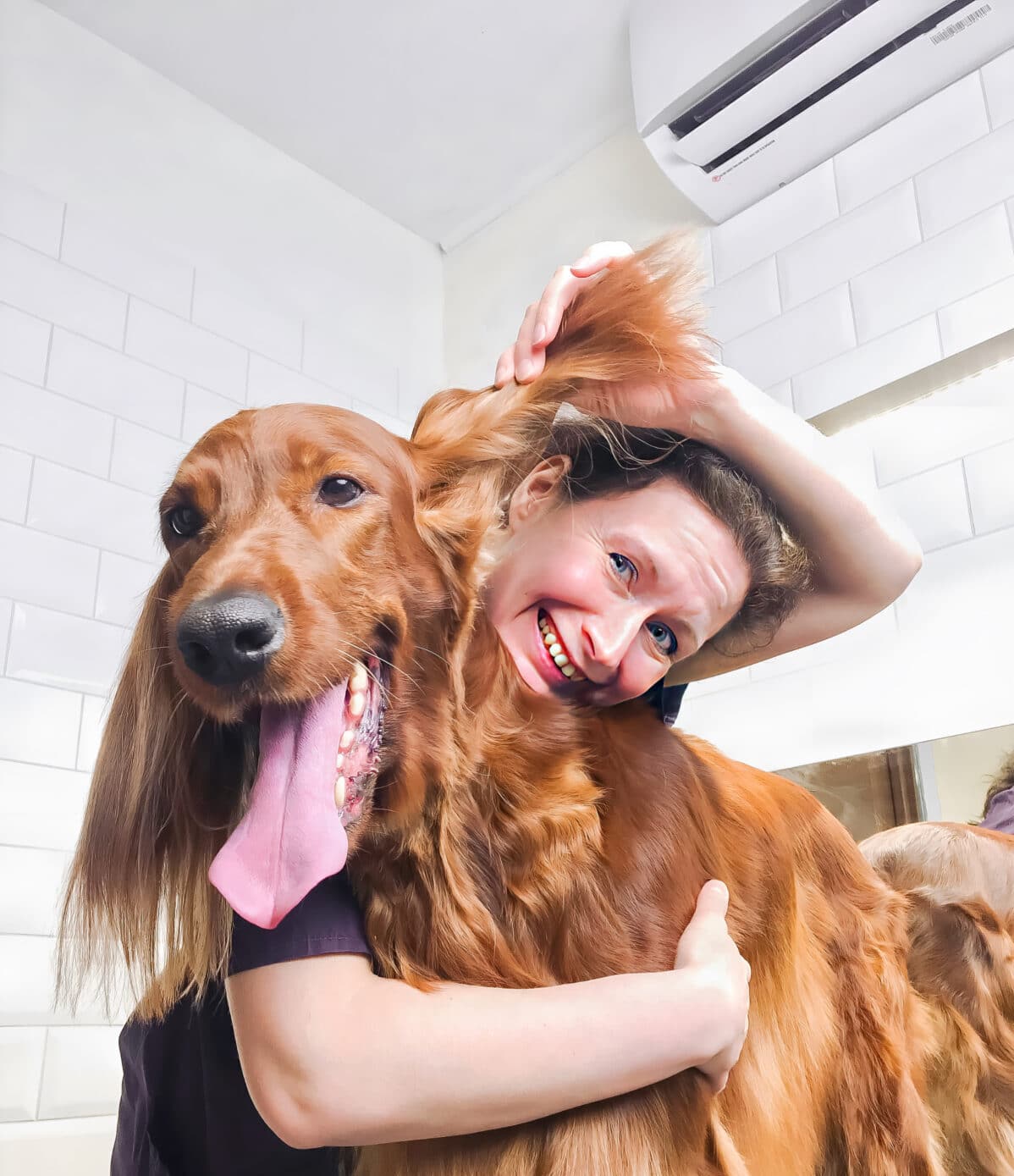 Interesting Facts about Dogs and Cats: Amazing Animal Traits