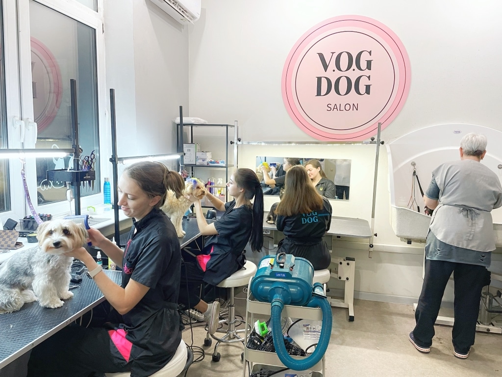 Grooming salon: Everything you need to know about looking after animals ...
