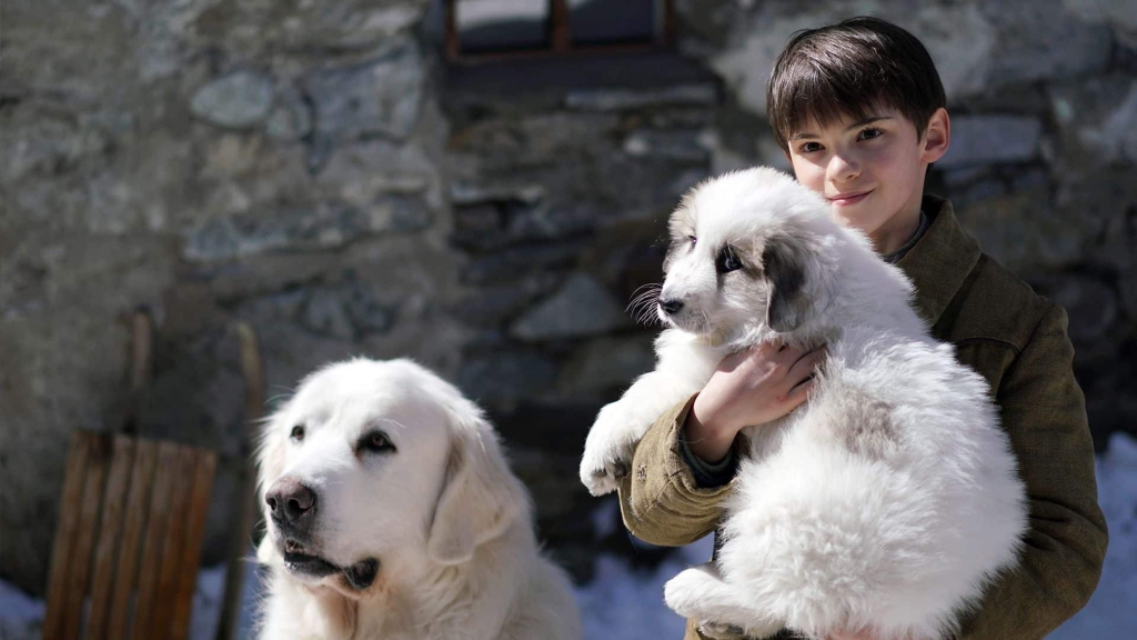 Dogs in movies: the most famous heroes of the screen - V.O.G DOG