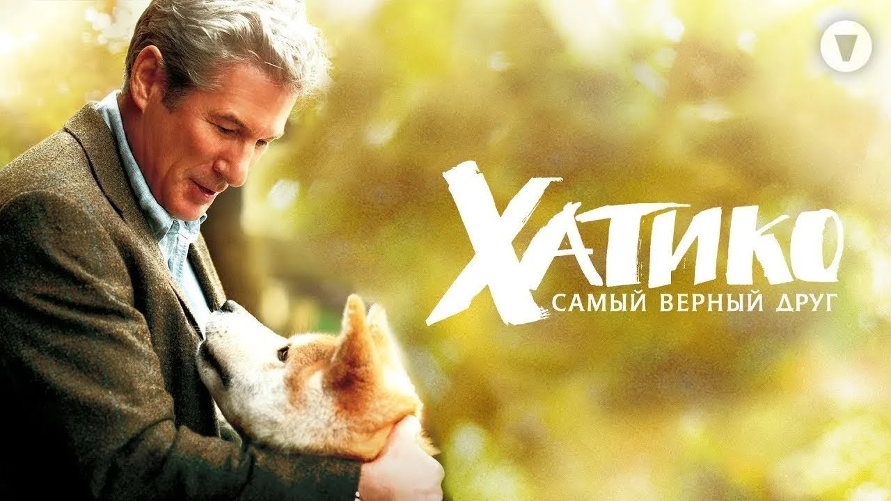 Dogs in movies: the most famous heroes of the screen - V.O.G DOG