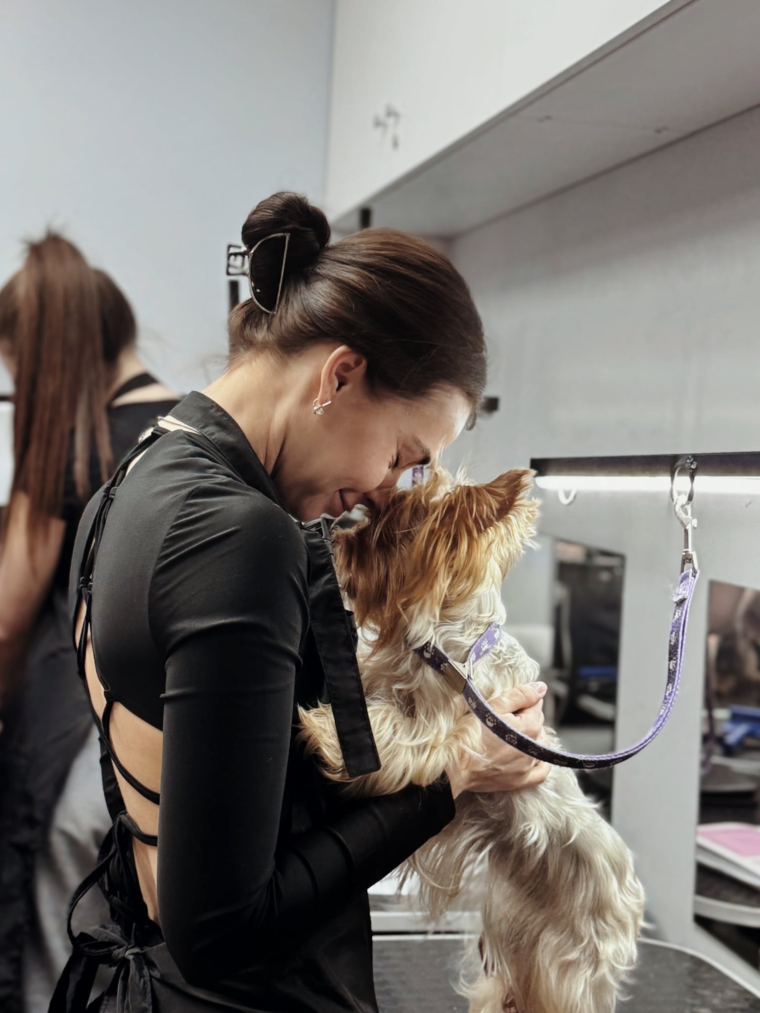 Yorkie Grooming Tools: How to Choose the Best One - V.O.G DOG