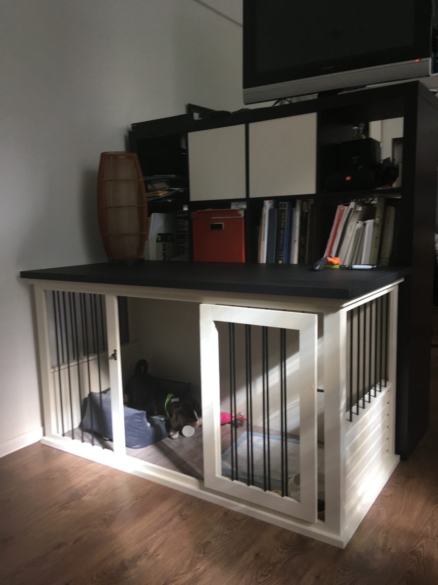 How to choose between a crate and an enclosure for your dog? - V.O.G DOG