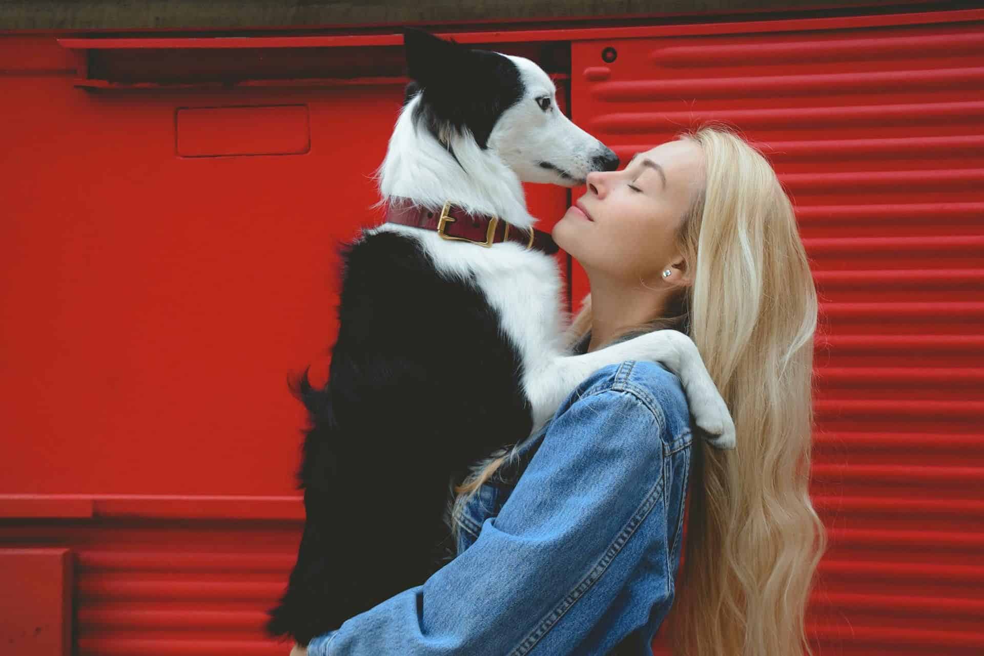 How do dogs perceive time, and how do they know when you'll come home ...
