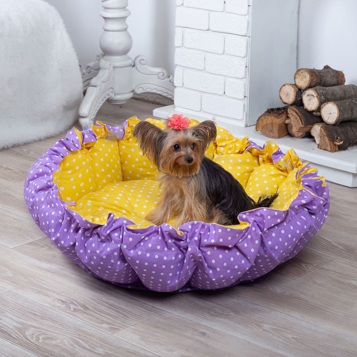 How to choose the most comfortable dog bed? - V.O.G DOG