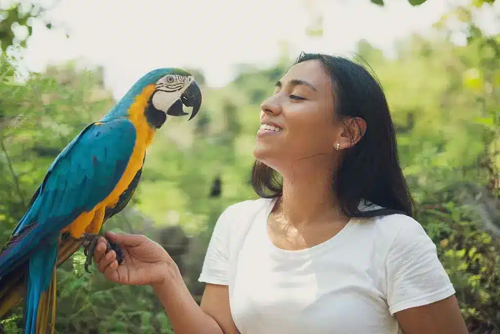 ¿Cómo se enseña a hablar a un loro? - V.O.G DOG