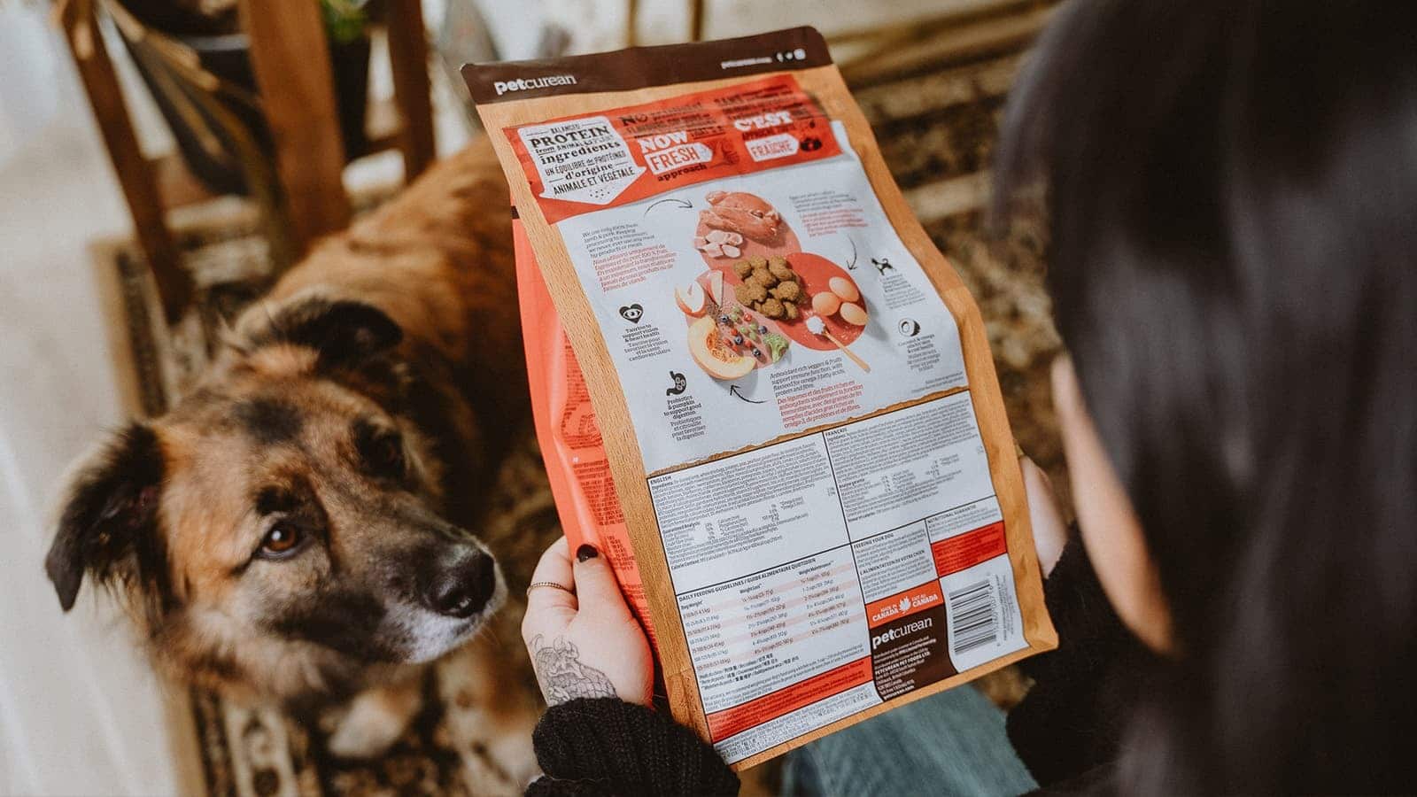 Reading a dog or cat food label correctly - V.O.G DOG