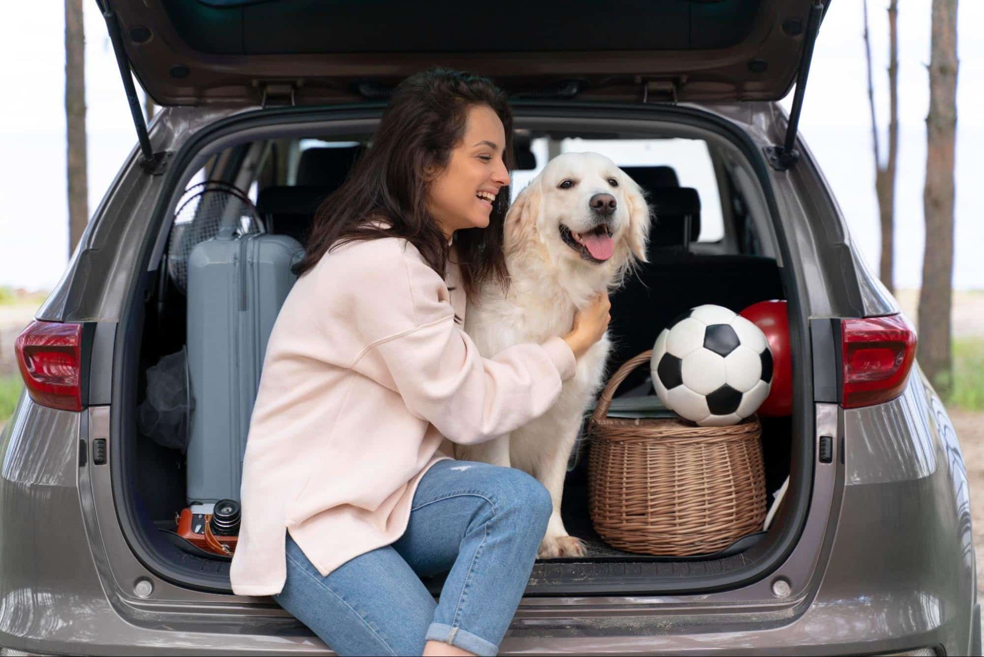 Tips for safe transportation of pets in a car - V.O.G DOG
