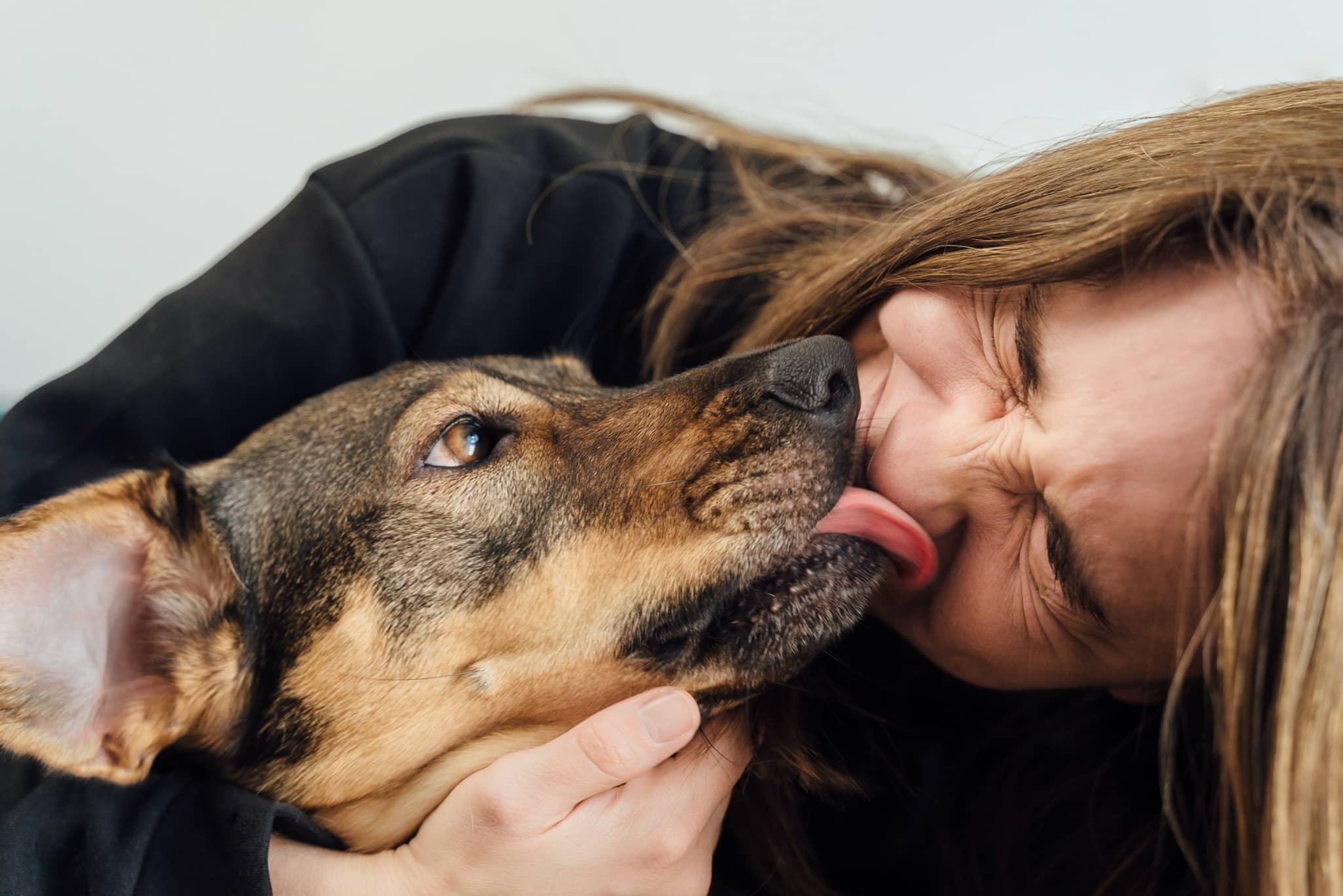 Warum Lecken Hunde Fsse Ab