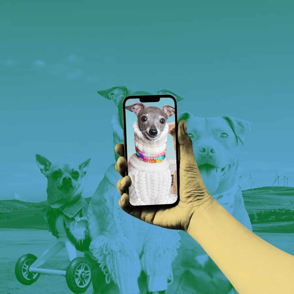 ANIMAL INFLUENCERS - V.O.G DOG
