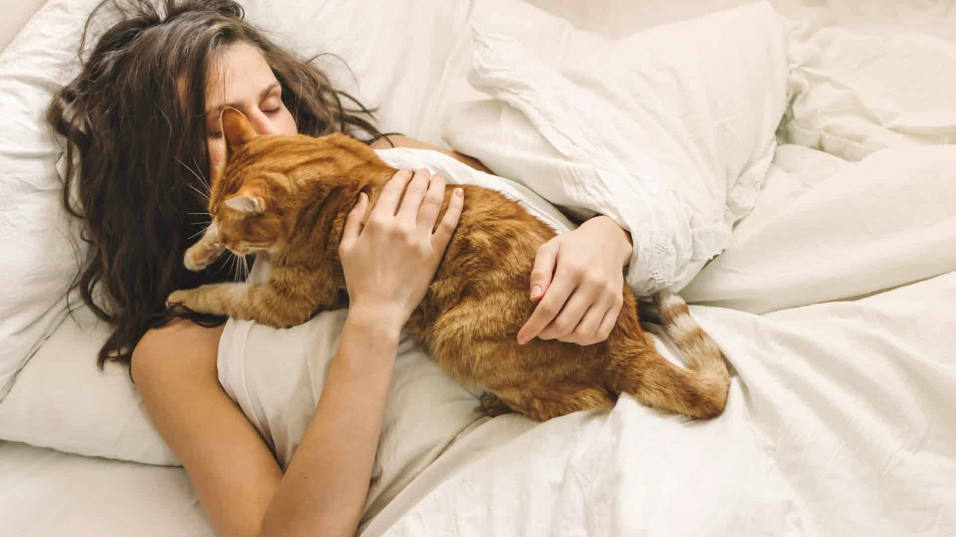 Why does a cat sleep on its owner's chest? - V.O.G DOG